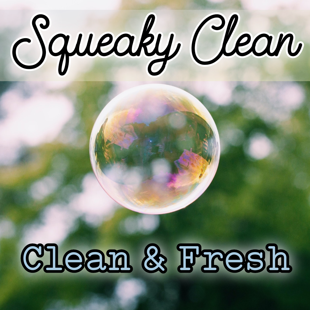 Squeaky Clean // Clean & Fresh – Ladybug Blessings